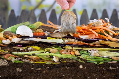 20 Common Composting Mistakes To Avoid