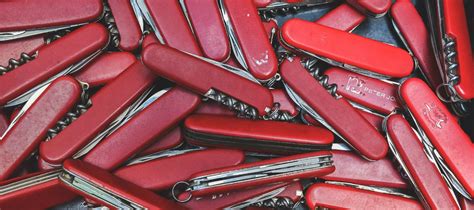 The Pros And Cons Of Ranorex Testing Tool Altexsoft