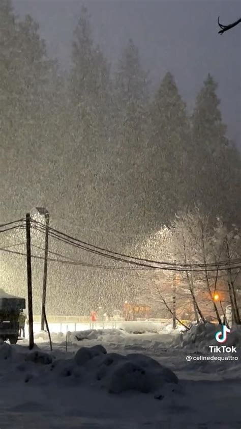 Ваши пины에 있는 Alina님의 핀 풍경 사진 겨울 경치 자연 사진