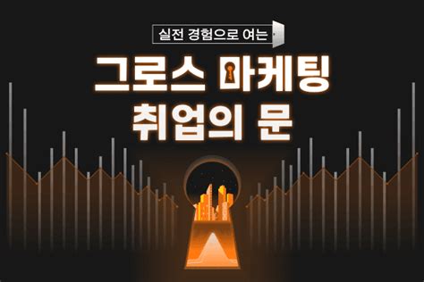 홈 멋쟁이사자처럼
