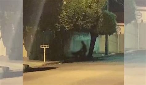 Vídeo mostra casal fazendo sexo de quatro no meio da rua em São Paulo Já é notícia