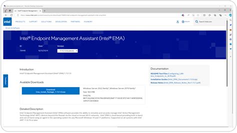 How To Install Intel Ema Single Server Mode