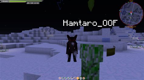Update Model Rendering On Client But Not On Server Issue Tom CustomPlayerModels