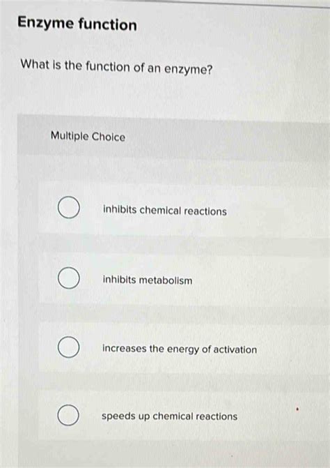 Solved Enzyme Function What Is The Function Of An Enzyme Multiple