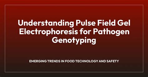 Understanding Pulse Field Gel Electrophoresis For Pathogen Genotyping