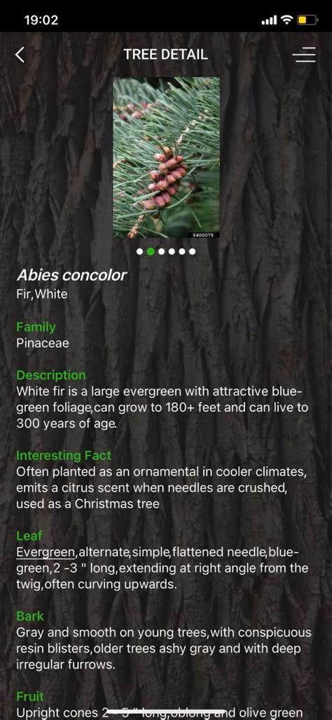 Free Tree Identification Apps For Android IOS Freeappsforme Free Apps For Android And IOS