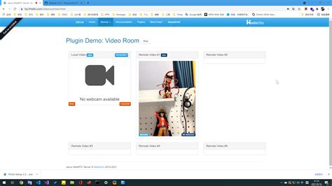 Janus 的搭建与 Webrtc 使用 Fengrui 博客园