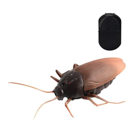 Cockroach Toy