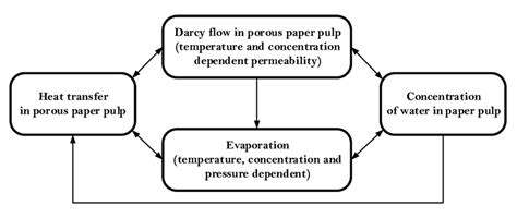 2 Coupled Multi Physics Model For The Drying Of Molded Pulp Products