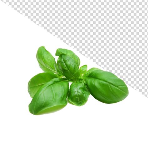 Premium PSD Spinach Png