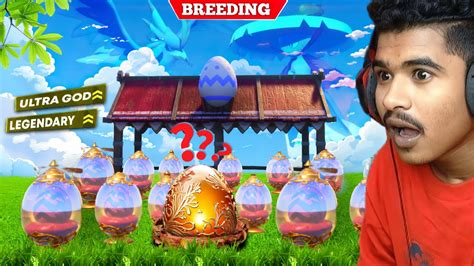 😱BREEDING GOD NITEWING & BUSHI NOCT🔥LEGENDARY POKEMON | ONLY BREEDING ...