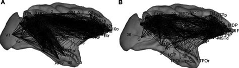 Original And Optimally Rearranged Macaque Cortical Networks A