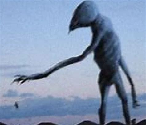 Trevor Creatures Roleplay Roblox