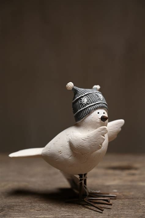 Vogeltje Met Grijze Muts Vogeltje Met Grijze Muts