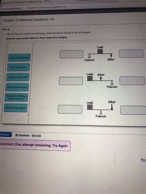 Solved Pearsons Mylab And Mastering Fall Muscie Chapter 10 1 Answer Transtutors