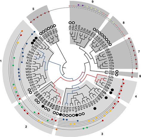 Clustering Tree Based On Weighted Fast Unifrac Analysis Of The