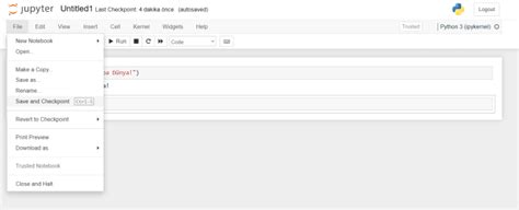 Jupyter Notebook Ile Örnek Uygulama Bilişim And Programlama