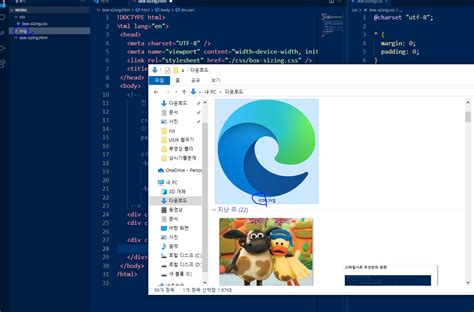 Css Box Sizing속성