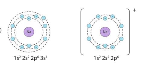 S21 The Ionic Model Flashcards Quizlet
