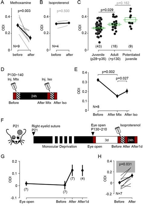 Pull Push Neuromodulation Of Cortical Plasticity Enables Rapid Bi