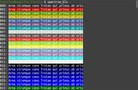 如何在Linux作業系統上使用 Z Shell Zsh MagicLen