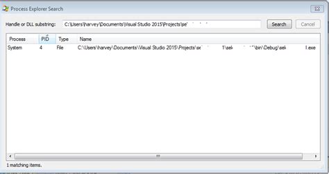 Build Getting The Process Cannot Access The File Error In Visual