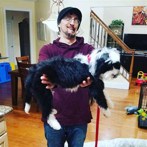 Fgteev Duddy Height At Maddison Westacott Blog