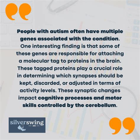 What Part Of The Brain Does Autism Affect Silverswing Aba
