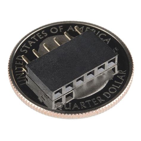 Otsikko 6 Nastainen Naaras Pth 0 1 Opencircuit