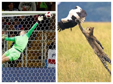 Michael Blankson Michaelblankson Twitter