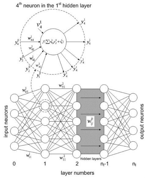 a typical multi layer feed forward artificial neural network download scientific diagram