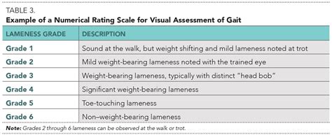 Canine Gait Analysis Todays Veterinary Practice