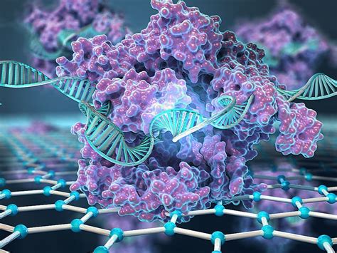 Crispr Chip Enables Digital Detection Of Dna Without Amplification