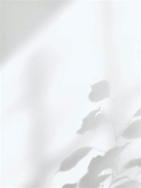 Sally Stephens Therapy Pasadena Therapist