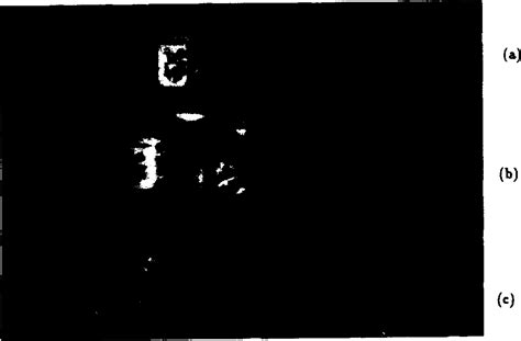 Figure 11 From Attentional Selection In Object Recognition Semantic Scholar