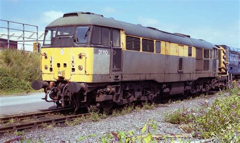 Steve Eames Collection 31004 To 31199