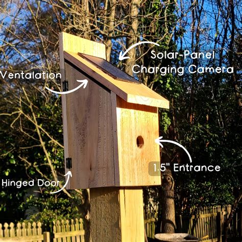 Solar Powered Birdhouse And Live Streaming Camera Smart Bird House Wireless Wifi Enabled