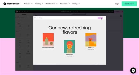 elementor wordpress page builder review shoppingcart kiwi