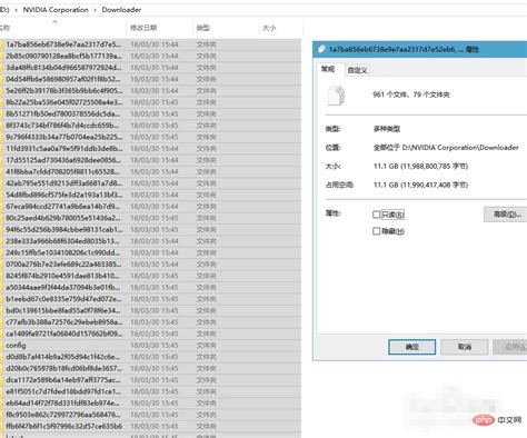 nvidia corporation是什么文件夹 常见问题 php中文网