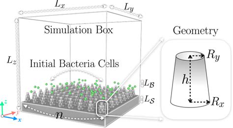 Figure 2 From Computational Design Of Antimicrobial Active Surfaces Via Automated Bayesian