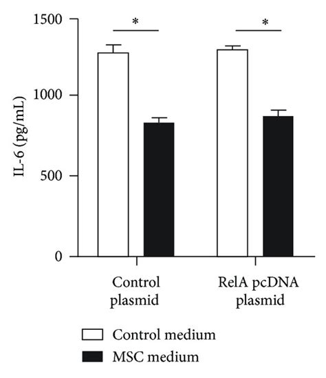 NF κB signaling is partially responsible for the modulated expression Download Scientific