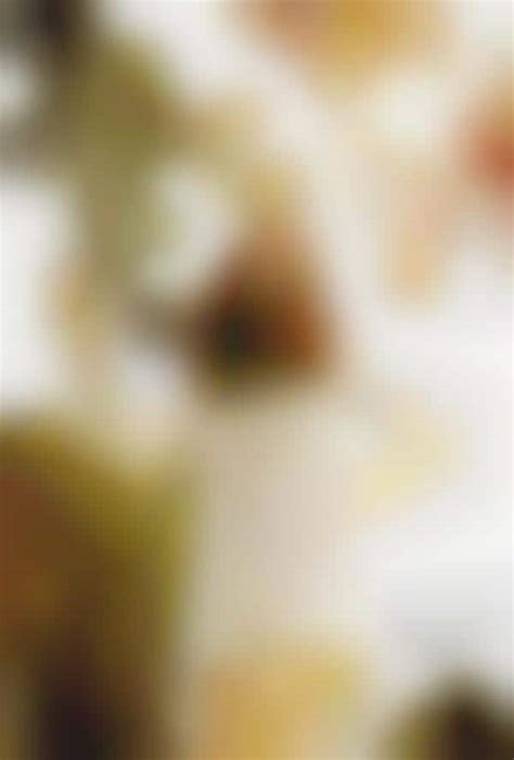 Sensual Nature Editorials Mackenzie Drazan