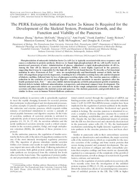Pdf The Perk Eukaryotic Initiation Factor 2 Kinase Is Required For The Development Of The
