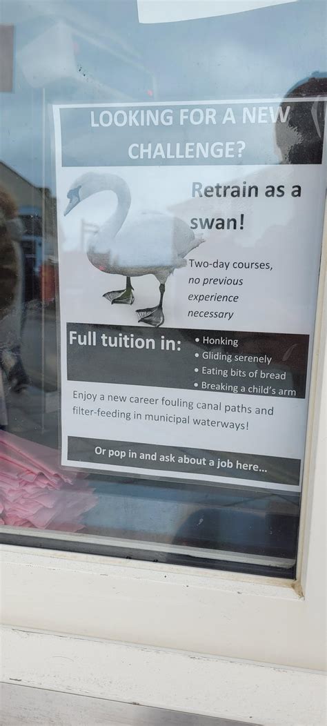 2215 Best Cornwall Images On Pholder Casual Uk Interestingasfuck And Earth Porn