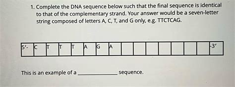 Solved Complete The DNA Sequence Below Such That The Final Chegg