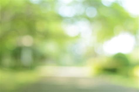 Premium Photo | Abstract Nature Bokeh