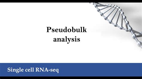 Scrnaseq Pseudobulk Analysis Youtube