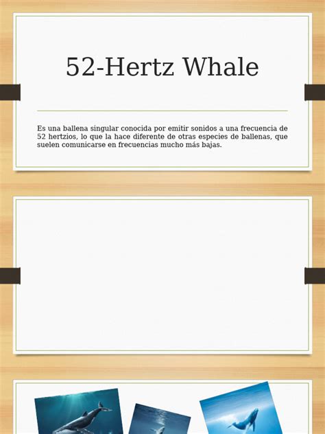 52 Hertz Whale Pdf