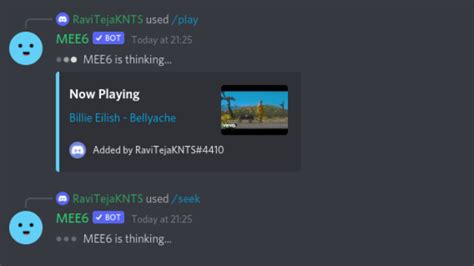 Best MEE Bot Commands List For Power Discord Users