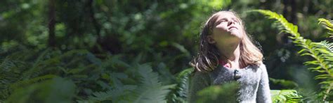 Plotters Refurbished Hp Impresión Responsable Con El Medio Ambiente